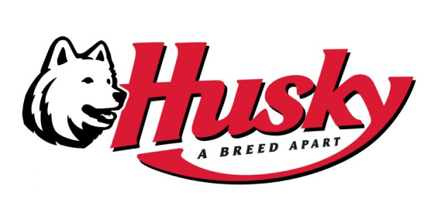 Vector Talent Solutions